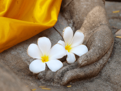 Neutralisez votre Karma avec le Hong-Sau Kriya | Kriya Yoga